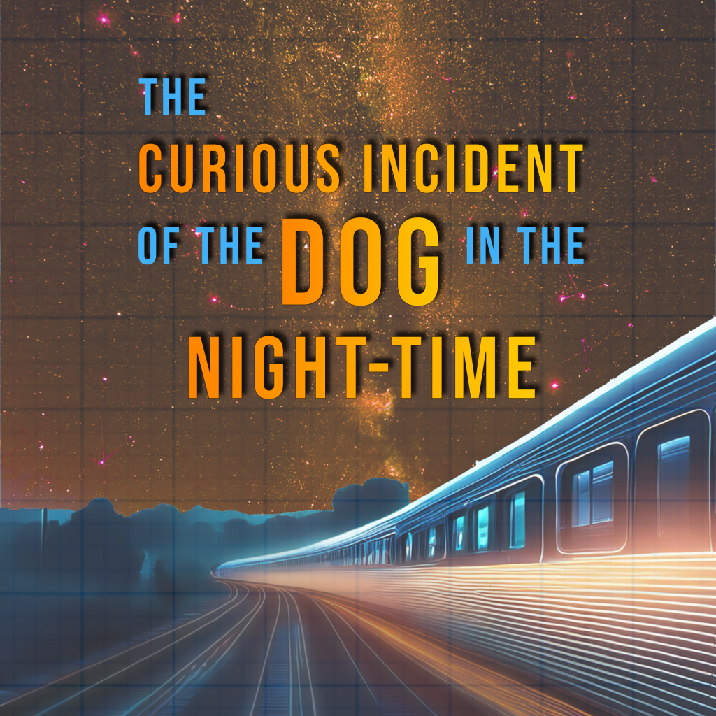 The Curious Incident of the Dog in the Night-time - Derby Theatre